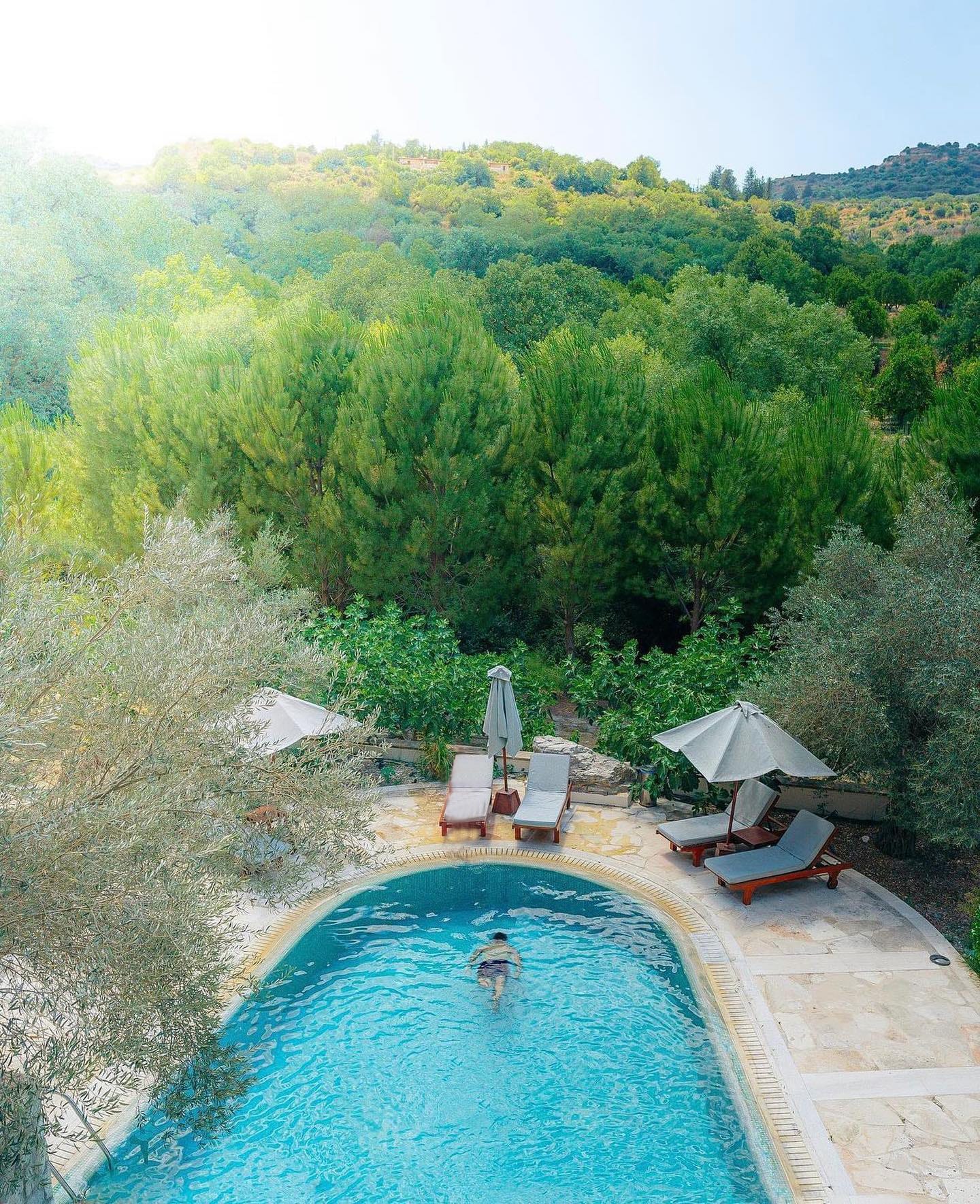 Secret Forest, Cyprus | Book online
