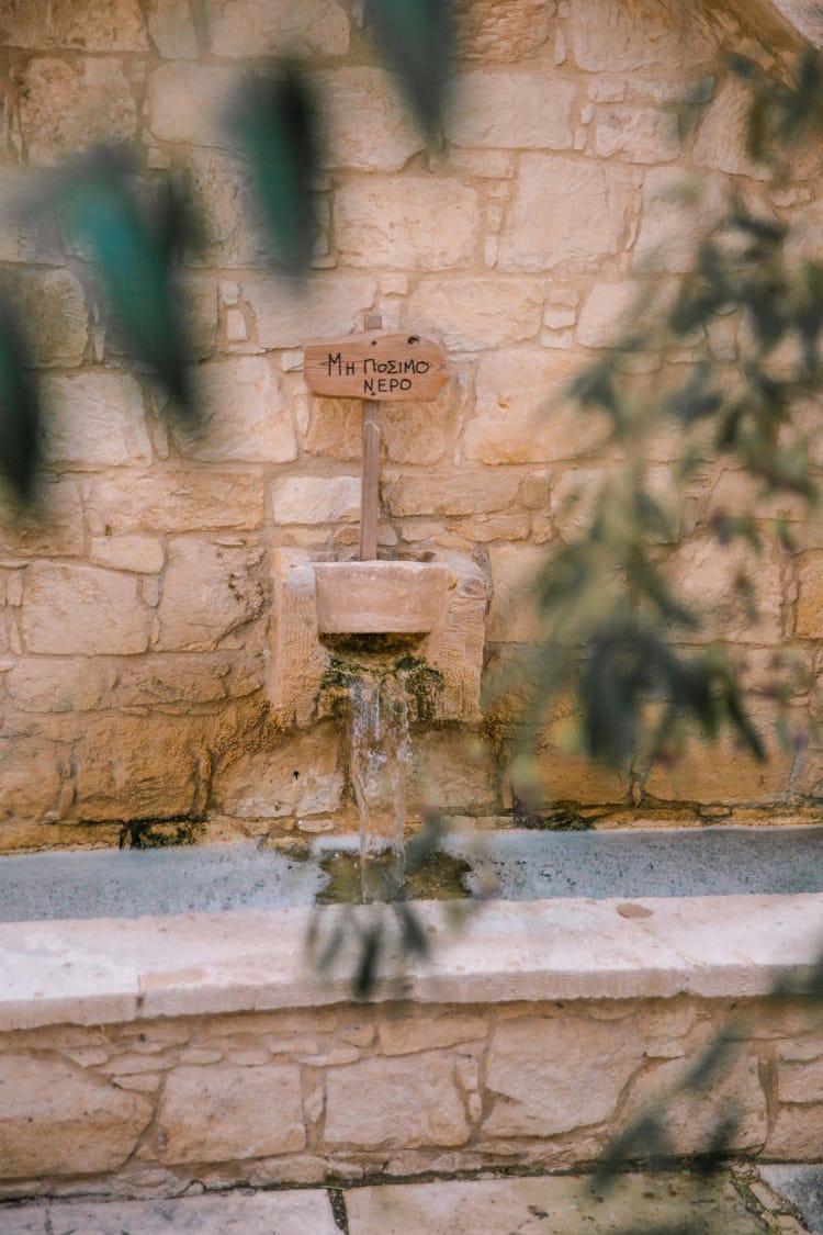 Secret Forest, Cyprus | Book online
