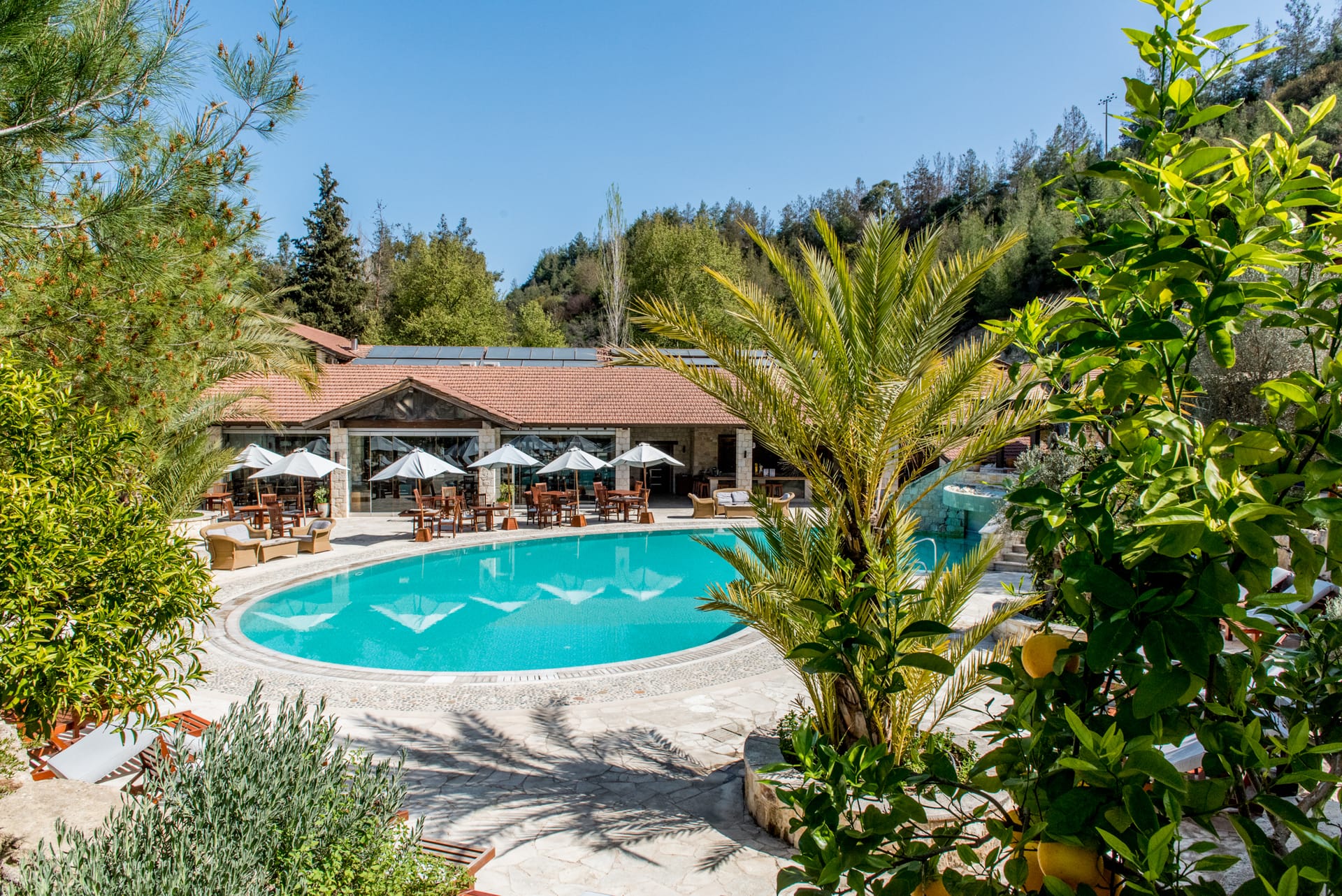 Secret Forest, Cyprus | Book online