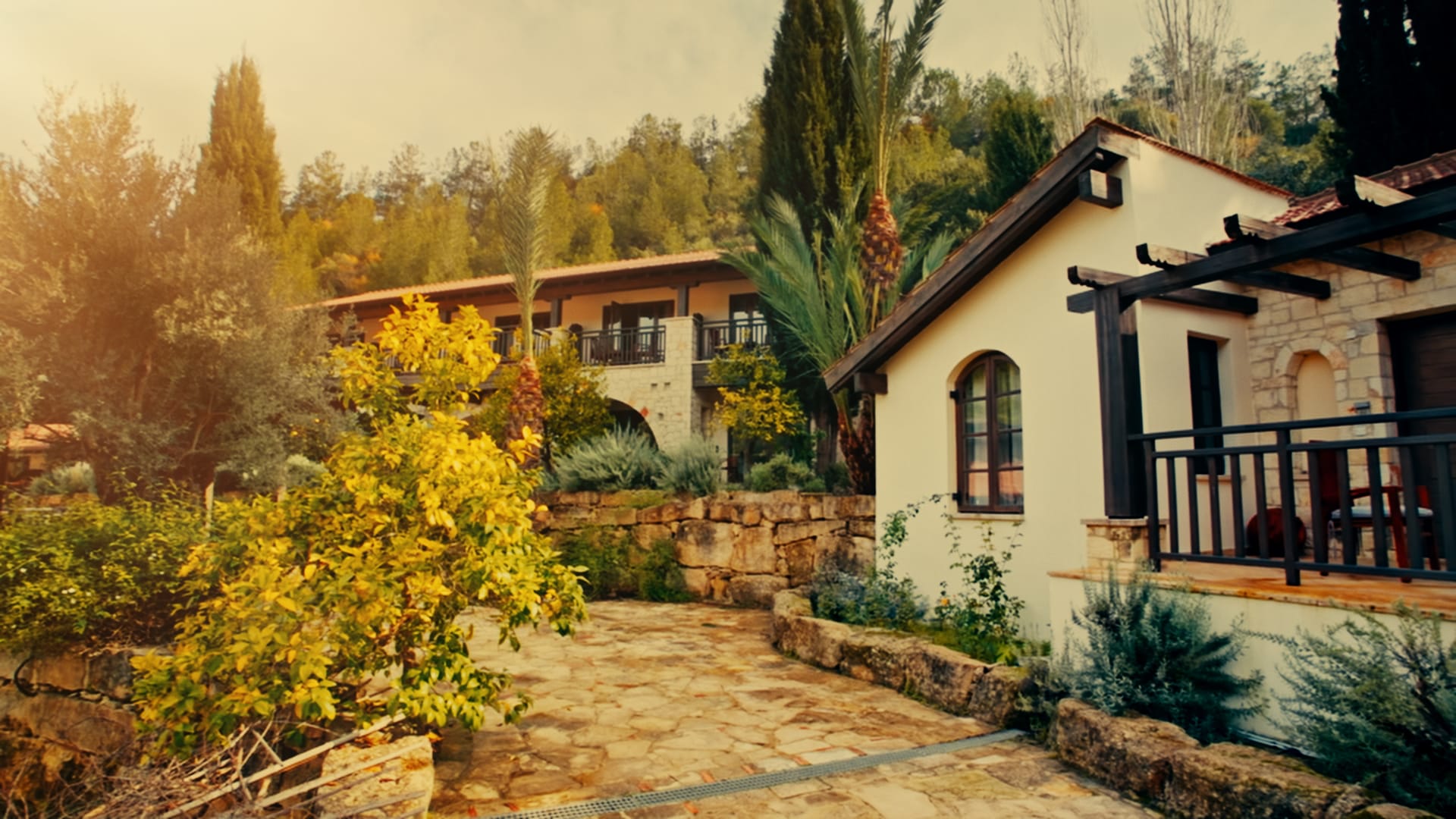 Secret Forest, Cyprus | Book online