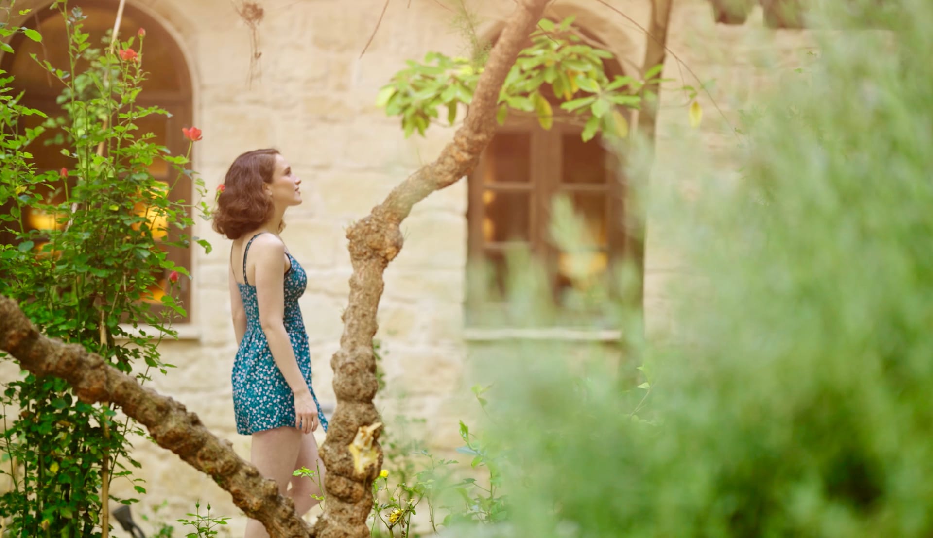 Secret Forest, Cyprus | Book online