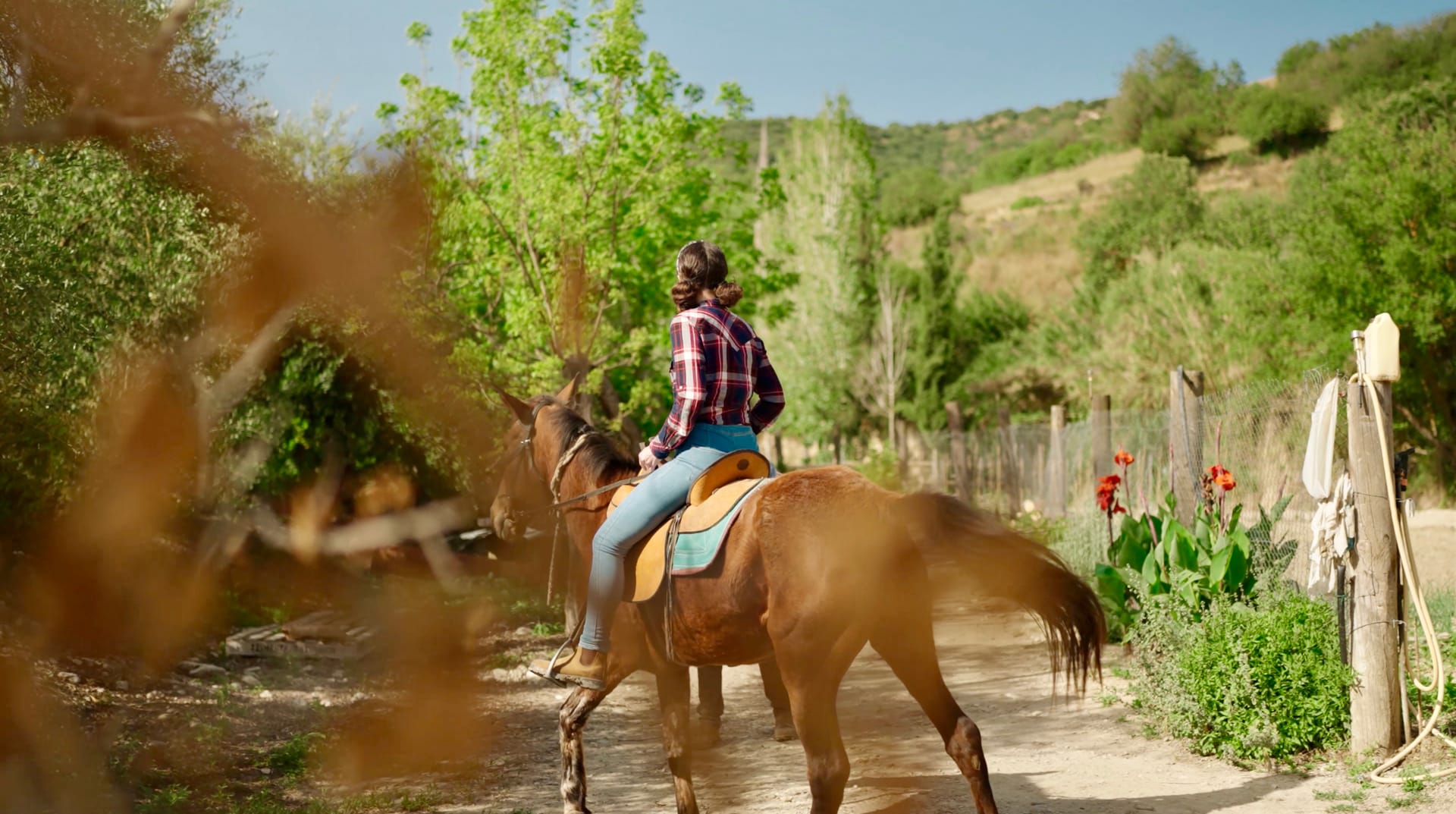 Secret Forest, Cyprus | Book online