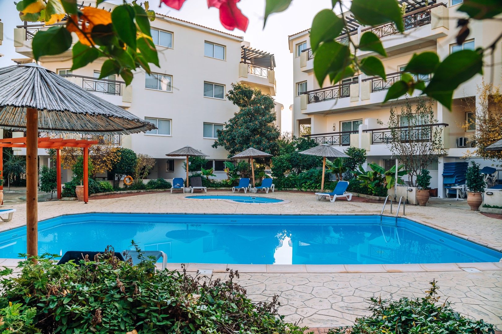 Artemis Cynthia Complex, Paphos, Cyprus | Book online