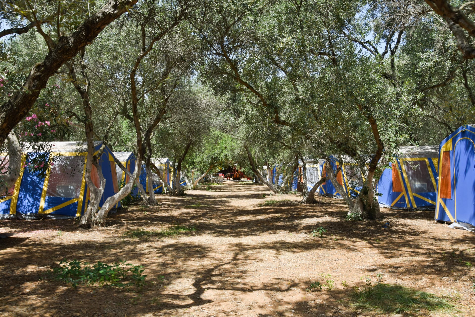 Camping Chania, Greece | Book Online