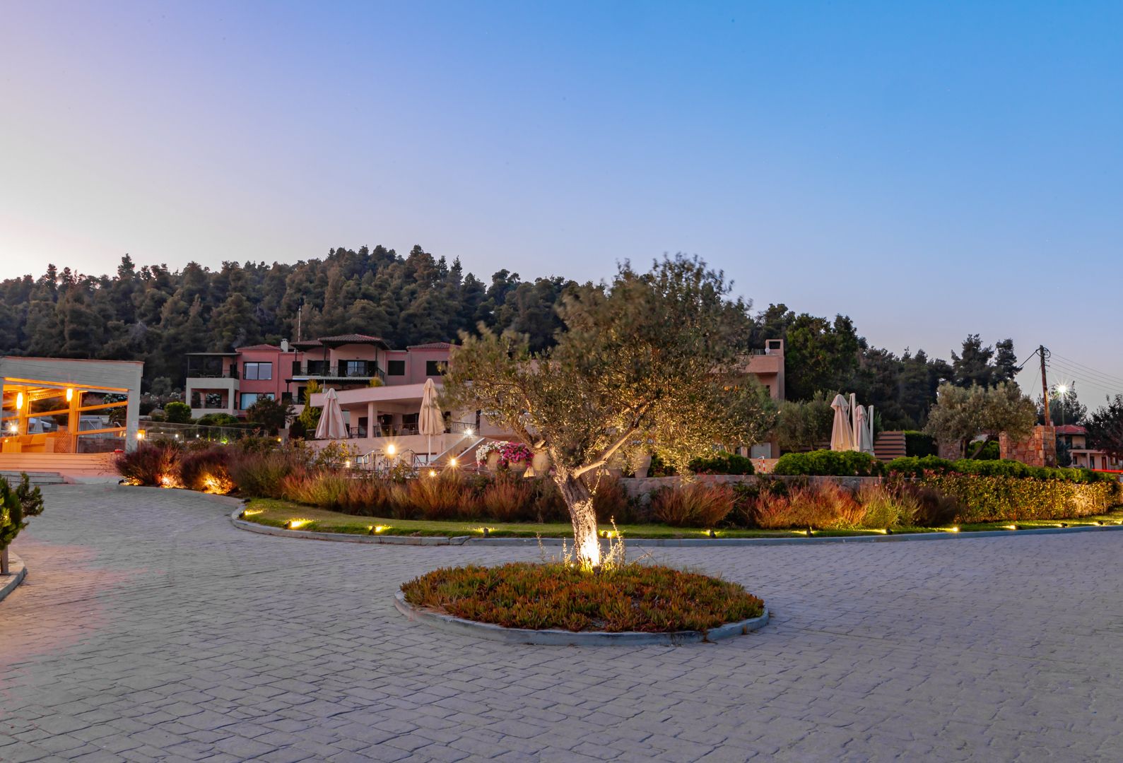 Elani Bay Resort Chalkidiki, Greece | Book Online