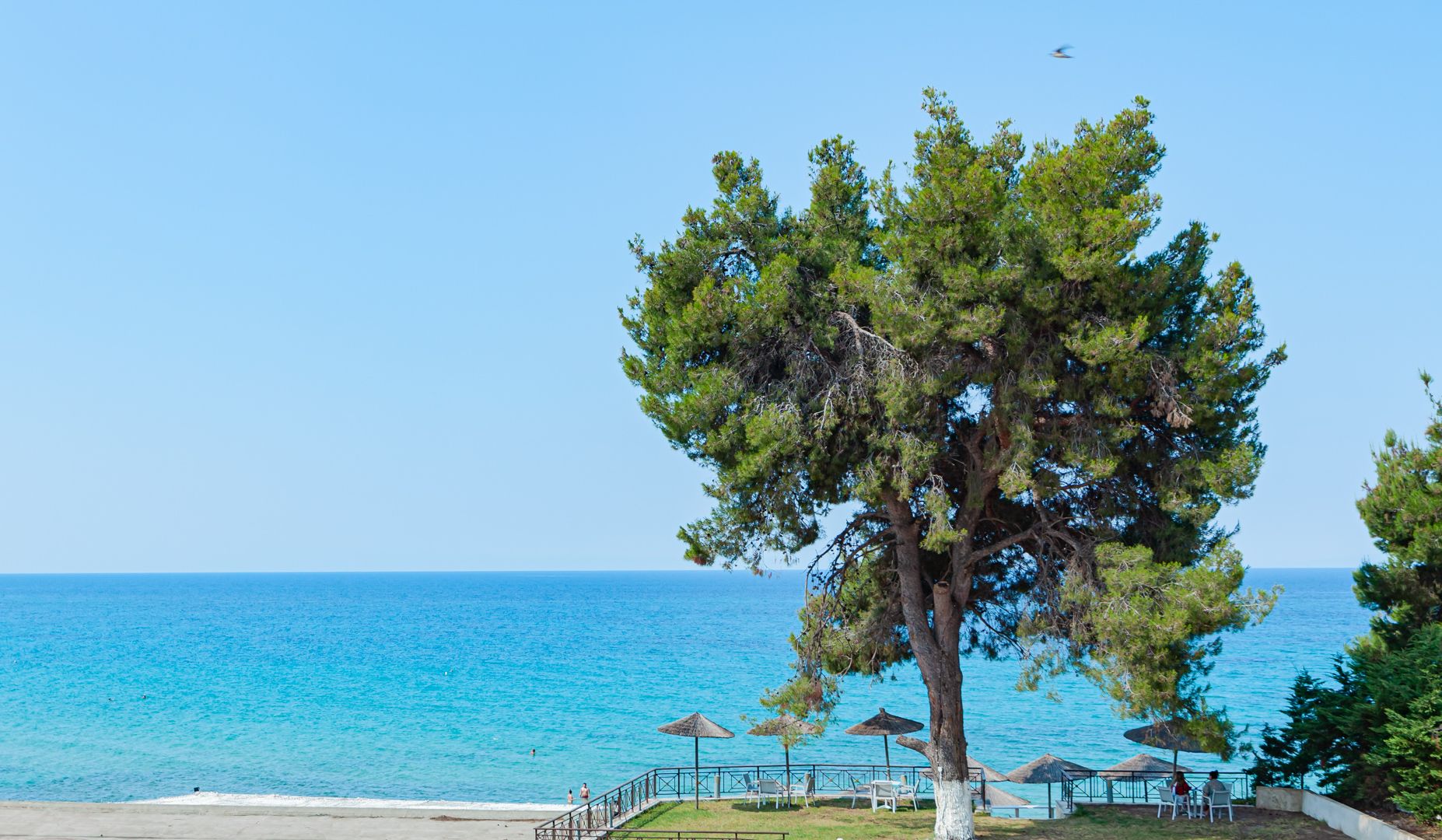 Elani Bay Resort Chalkidiki, Greece | Book Online