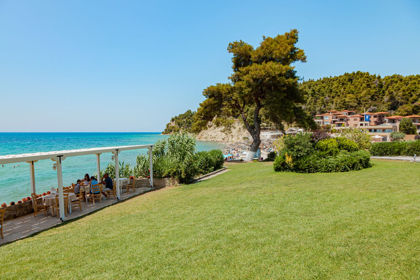 Elani Bay Resort Chalkidiki, Greece | Book Online