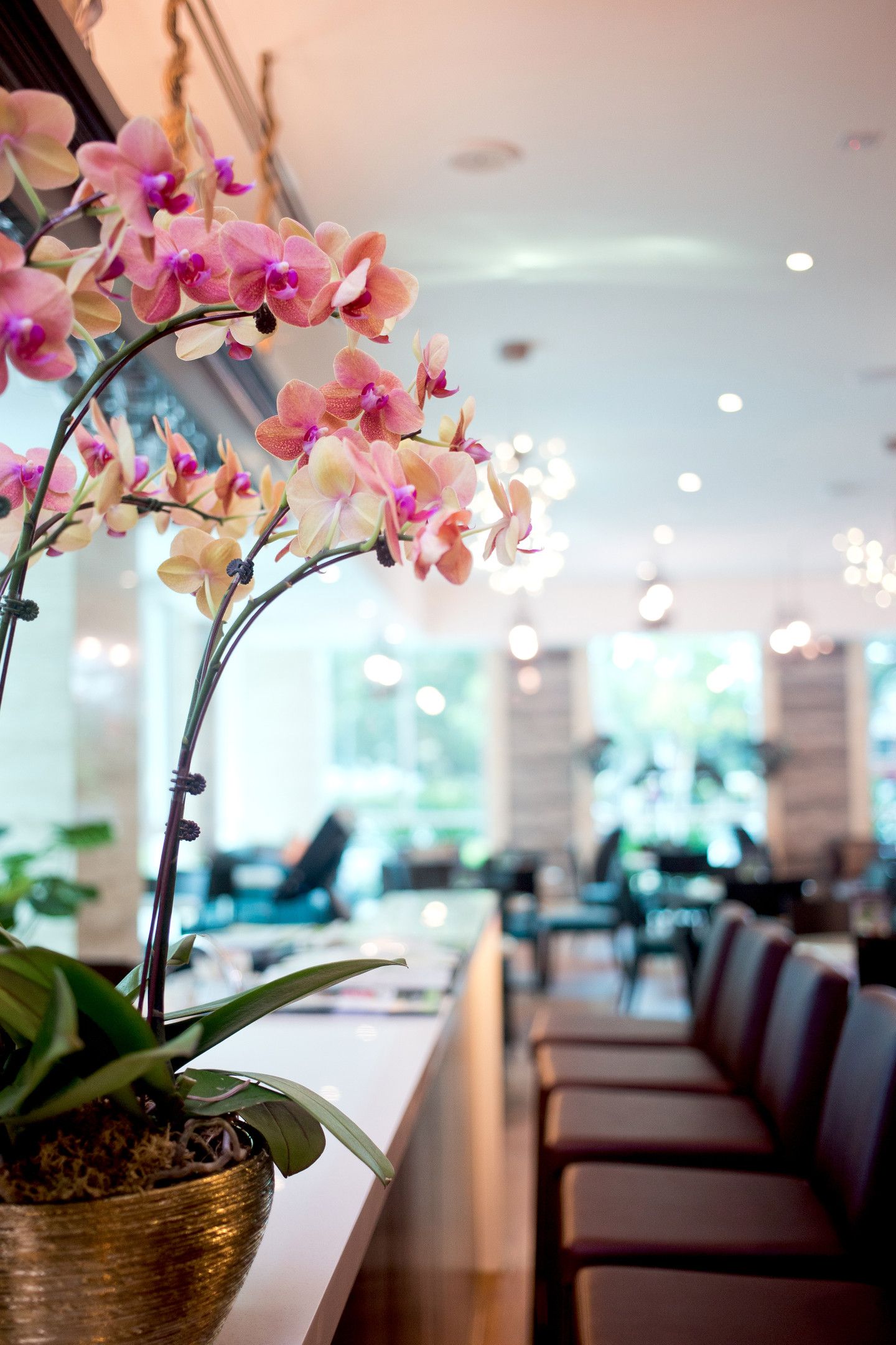 Vouk Hotel Suites Penang Official Website - Book Direct